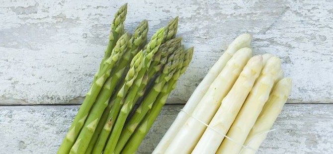 Almanlar'ın ayrelli aşkı